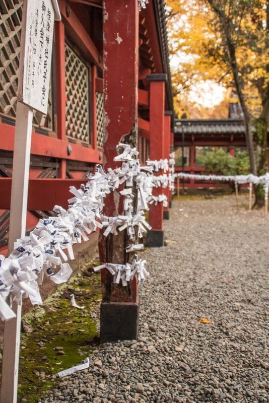 Pearls in Japan: Nezu Shrine in Tokyo - AVO Magazine - One click closer ...